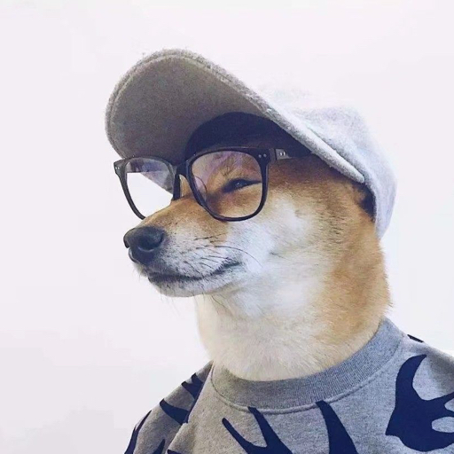 bz暖洋 