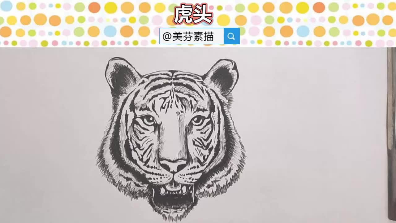 【超霸气老虎速写入门教程】:教你画一只超逼真的老虎虎头动物素描画!