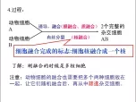 4-2-4动物细胞融合与单克隆抗体的制备-视频