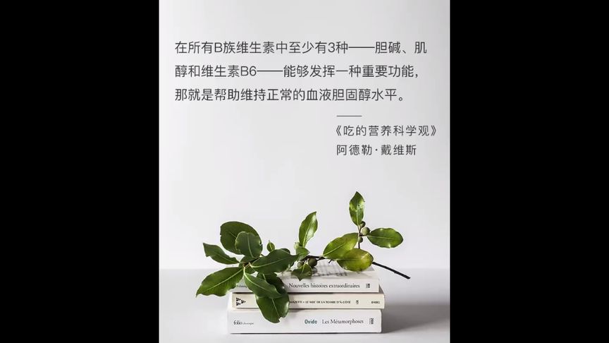 B族维生素能降低血液中的胆固醇、保护血管
