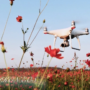 云翼创新的掌柜 