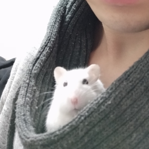 贪恋一口人间气的店长 