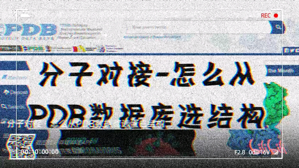 分子对接-如何从PDB数据库选择结构