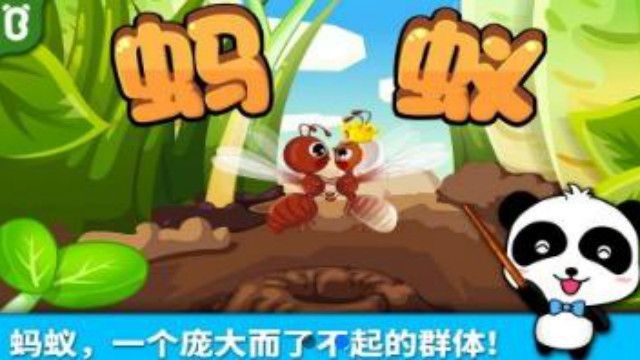 蚂蚁-科普知识,了解昆虫世界的奥秘(宝宝巴士原创动画)