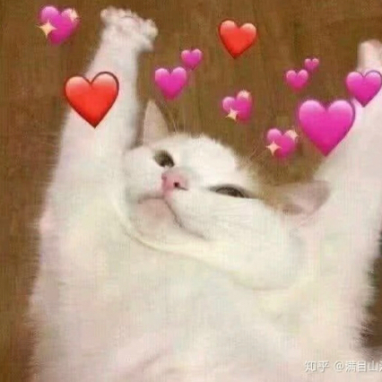 小桃子本桃_____ 