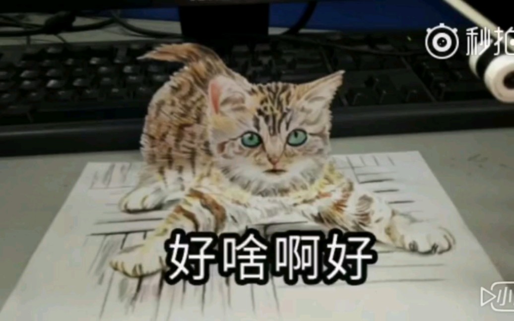 让立体画动起来