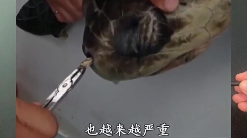 可食用吸管到底好不好吃帅小伙实测