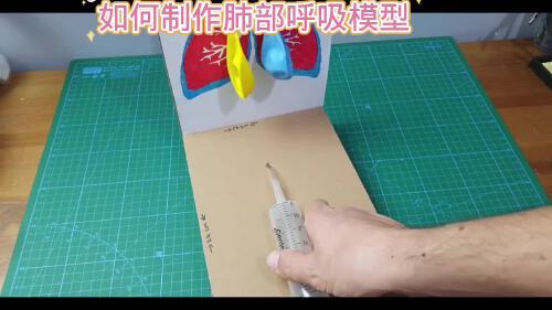 如何制作肺部呼吸模型
