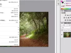 PS基础教程系列8 移动、复制图像