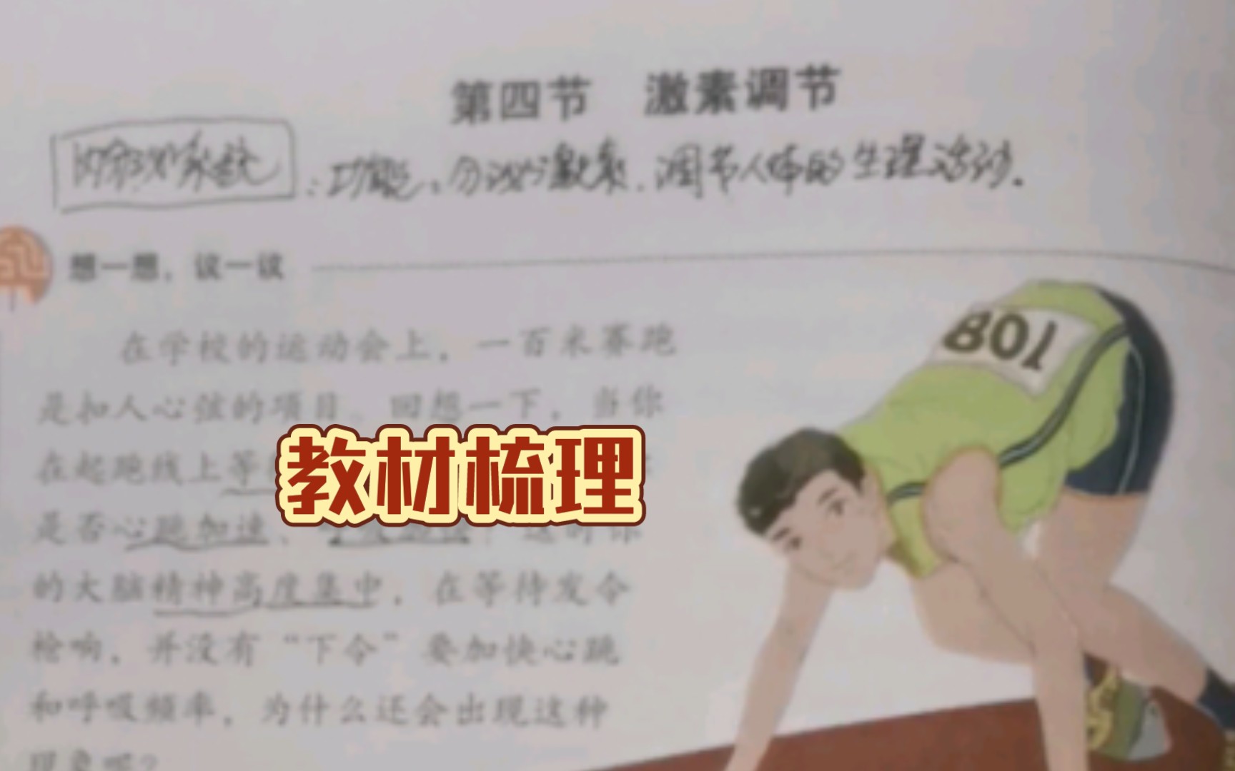 教材梳理//第六章第四节 激素调节(人教版初中生物七年级下册 内分泌...