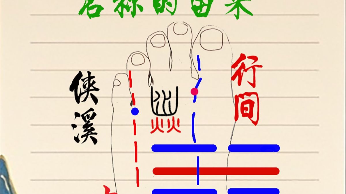 侠溪穴与行间穴名称的由来及关系