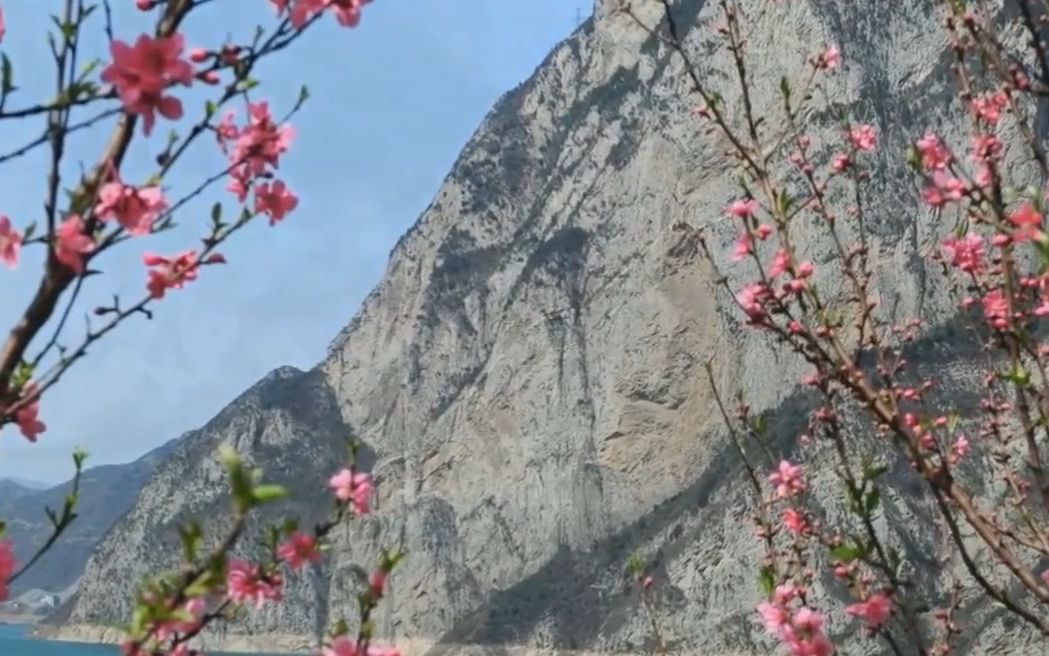 流浪的小行星圆舞曲合唱谱