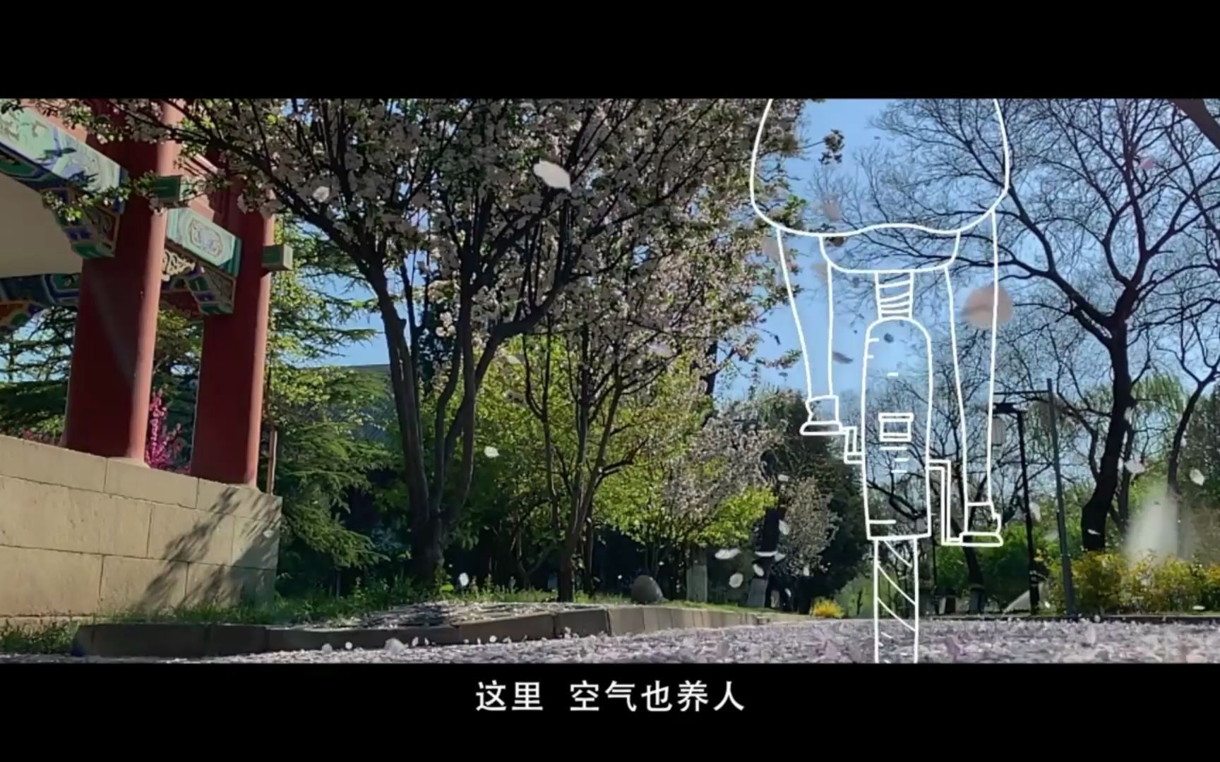 高考志愿填报指导 北京大学招生宣传片
