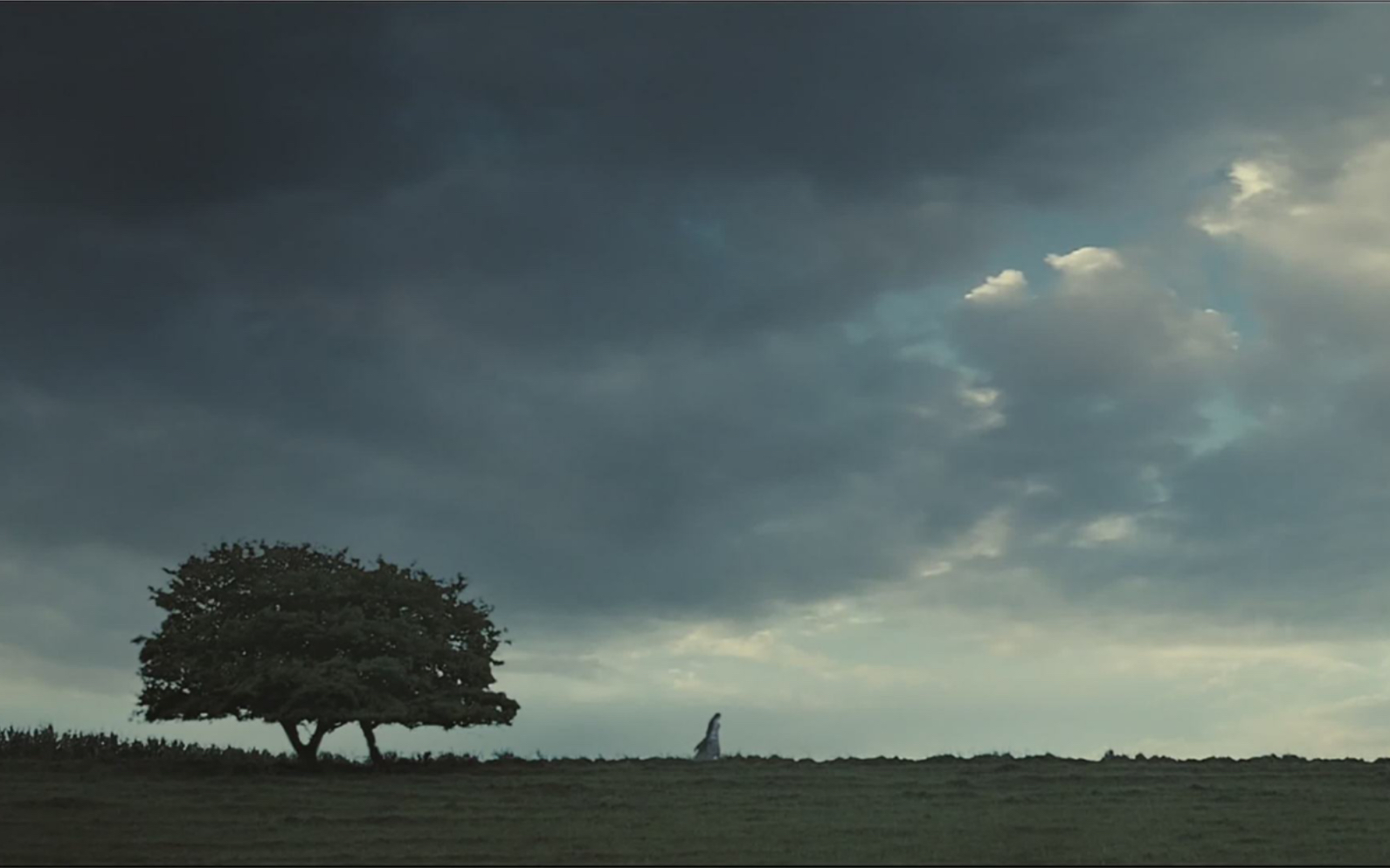 在抖音上听了25遍“天青色等烟雨”