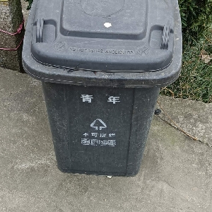 眦一