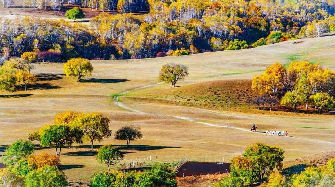 你喜欢大自然吗,塞罕坝国家森林公园,中国.