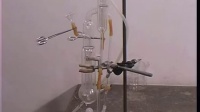 04 蛋白质浓度测定(微量凯氏定氮法)——教材实验30