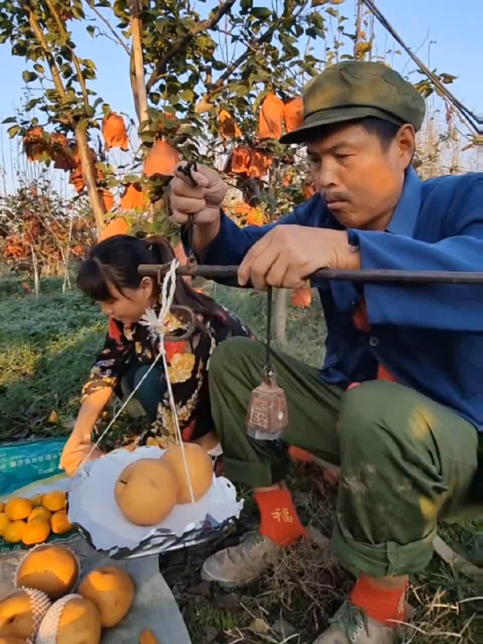 今年的梨子终于成熟了!老赵卖梨#记录我的农村生活 #三农