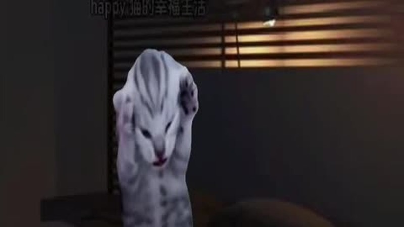 睡前小故事 细思极恐 meme 内容过于真实 猫meme 恐怖