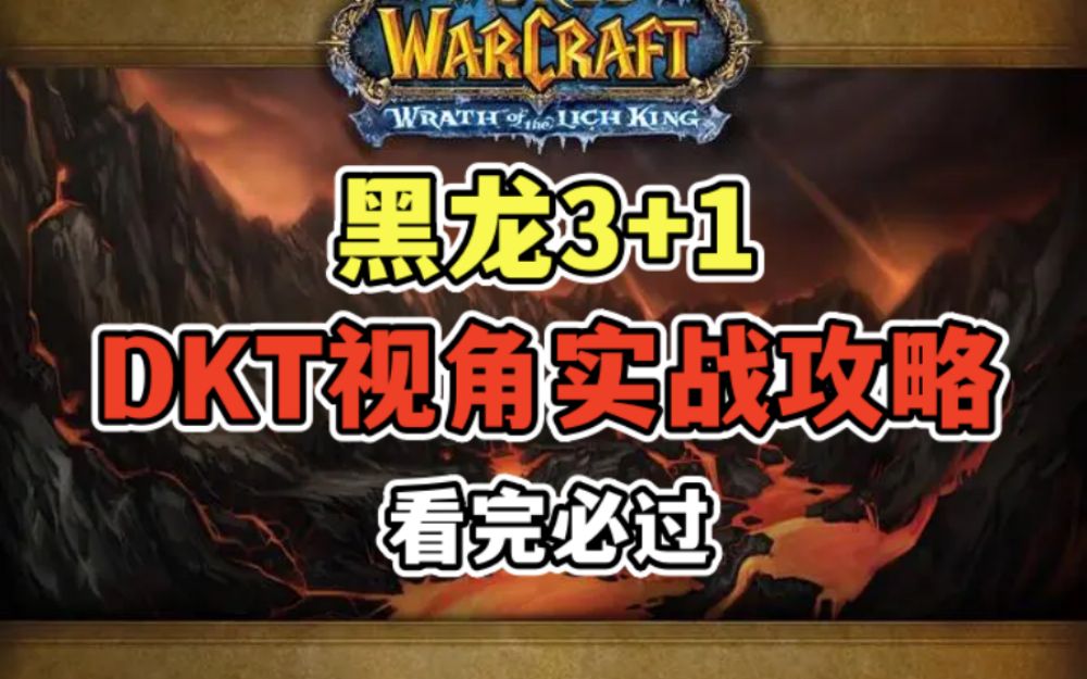 ...实战录像含指挥语音攻略【两仪龙】魔兽世界怀旧服WLK巫妖王之怒