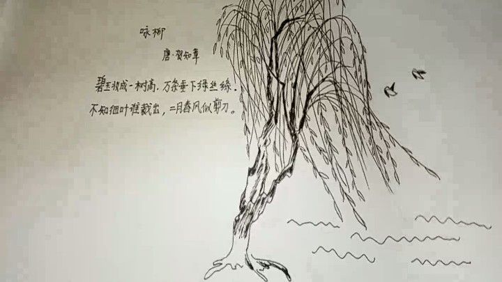 古诗咏柳诗配简笔画