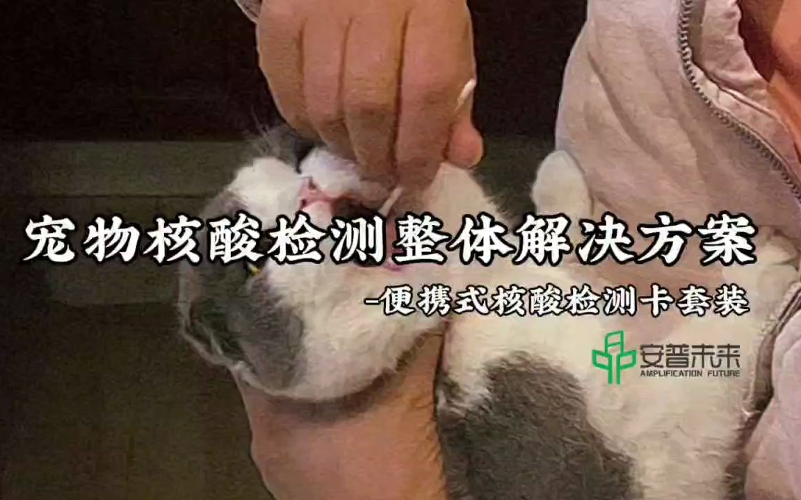 分子检测--宠物核酸检测整体解决方案(搭配便携式核酸检测卡套装)