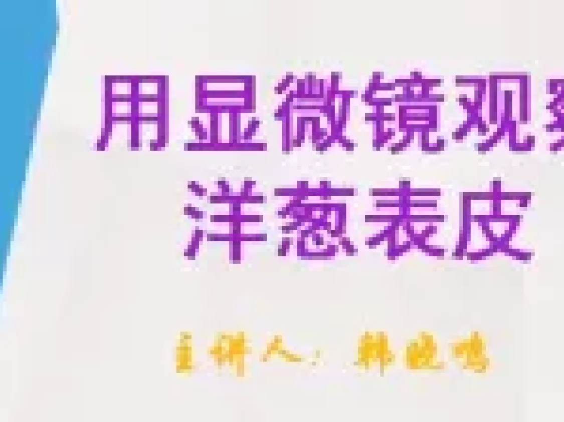 用显微镜观察洋葱表皮