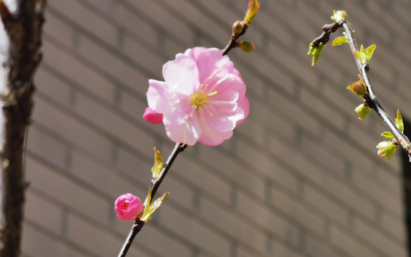 生活中的暴沸现象