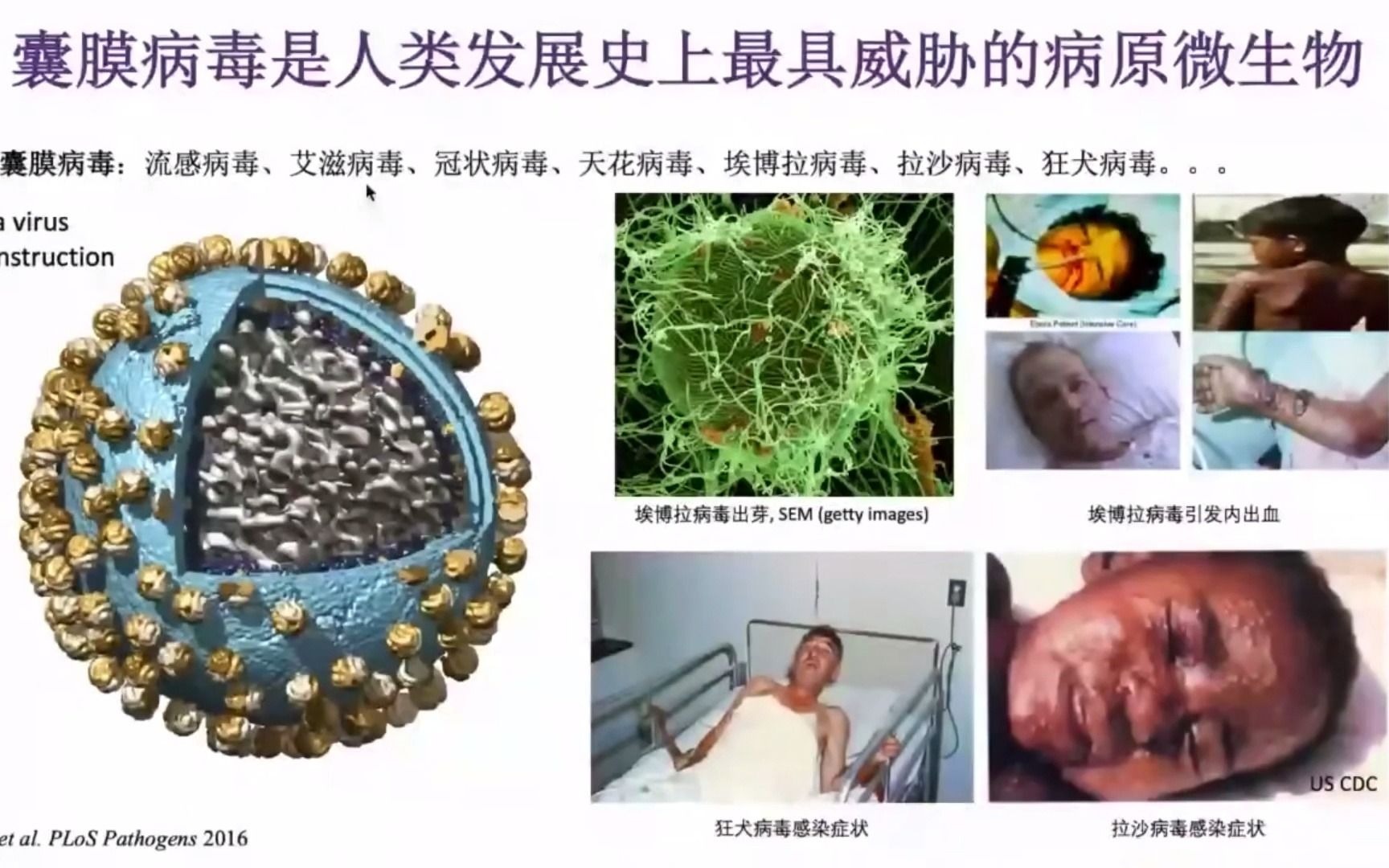 囊膜病毒的冷冻电镜全病毒结构研究(李赛老师主讲)