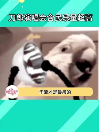 这是传统音乐与现代音乐的最强碰撞!我们这一代人真的吃的很好~#...