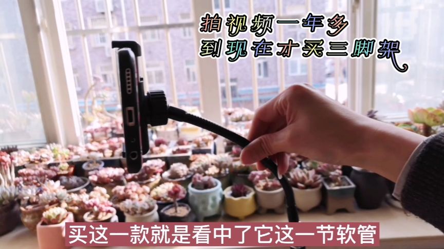 29块网购一个三脚架,拉伸一米六,带一节软管随便怎么旋转都可以
