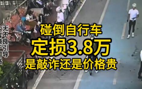碰倒崔克自行车,官方店定损3万8,是否吃相太难看