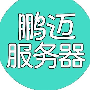 鹏迈组装服务器 