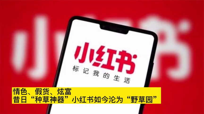 “变味了!”情色、假货、炫富,“种草神器”小红书沦为野草园