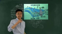 高中生物必修一,细胞膜的结构与功能精讲,高一生物视频教程