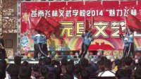 女子。舞旗。武术表演