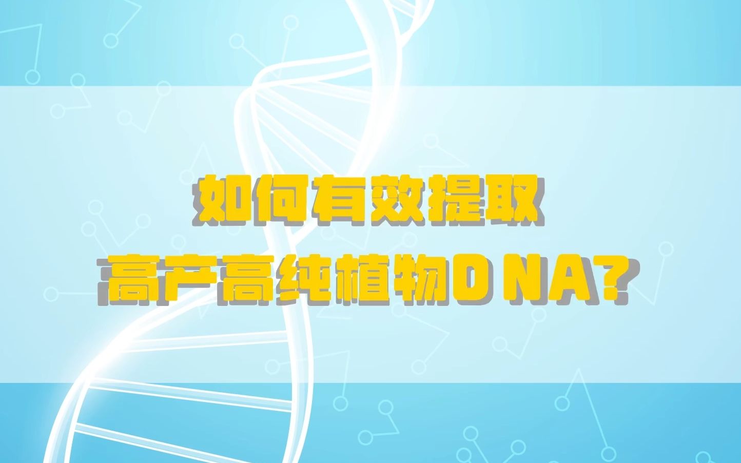 植物DNA提取实验操作流程 | 如何高效提取基因组DNA?3分钟带你学习...