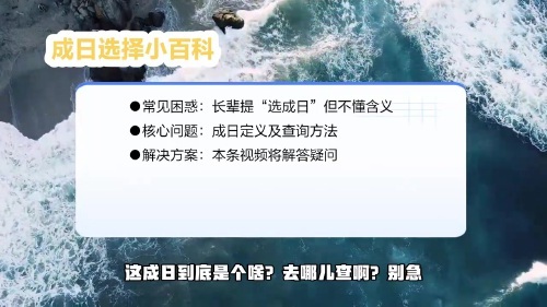 2025年成日查询表