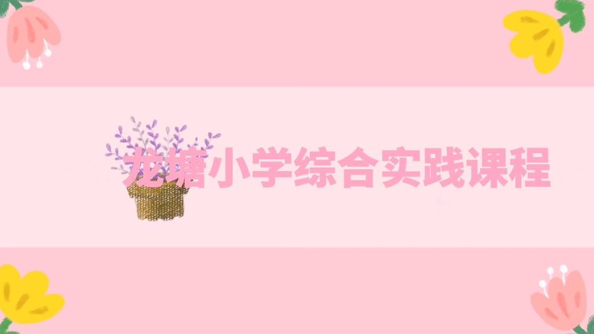 龙塘小学综合实践课程成果展示