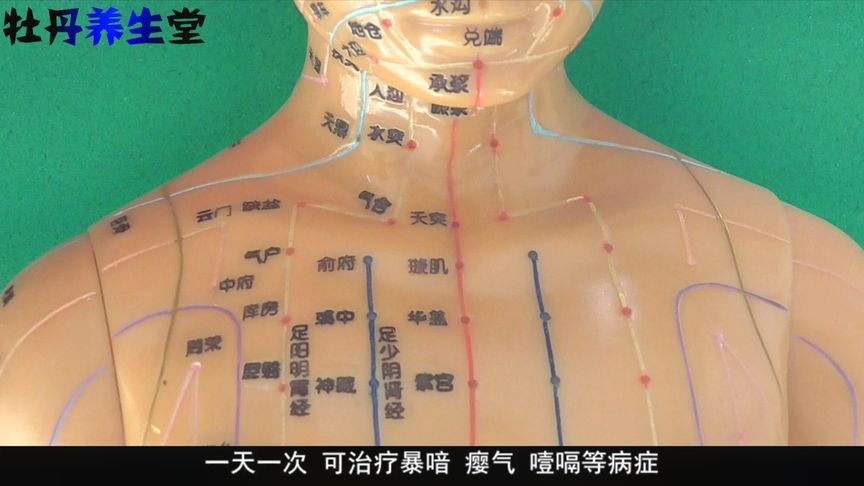 天突穴功效:理气平喘。一天一次,可治疗哮喘,胸闷,胸中气逆等