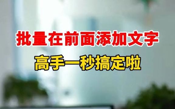 【excel速成】excel办工小技巧批量在前面添加文字,你们来过海南吗?