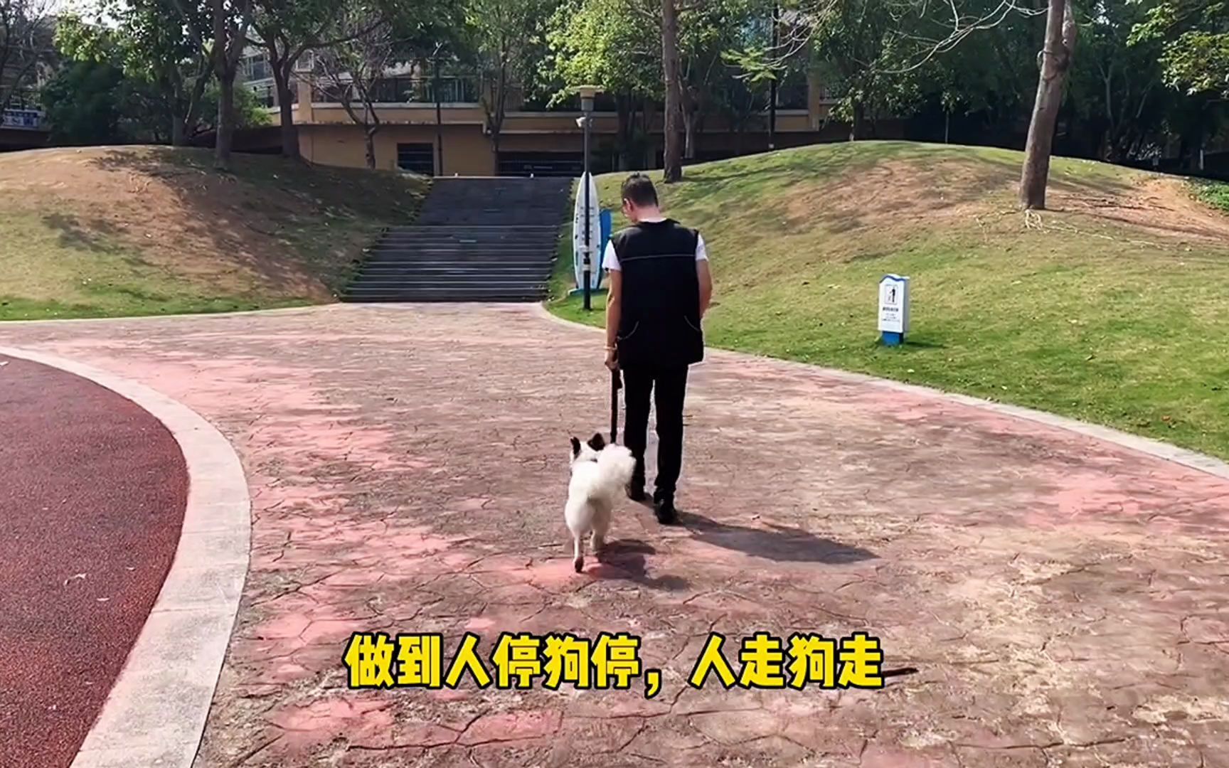 如何训练宠物狗对主人随行 怎么训练狗狗跟随行走视频.mp4