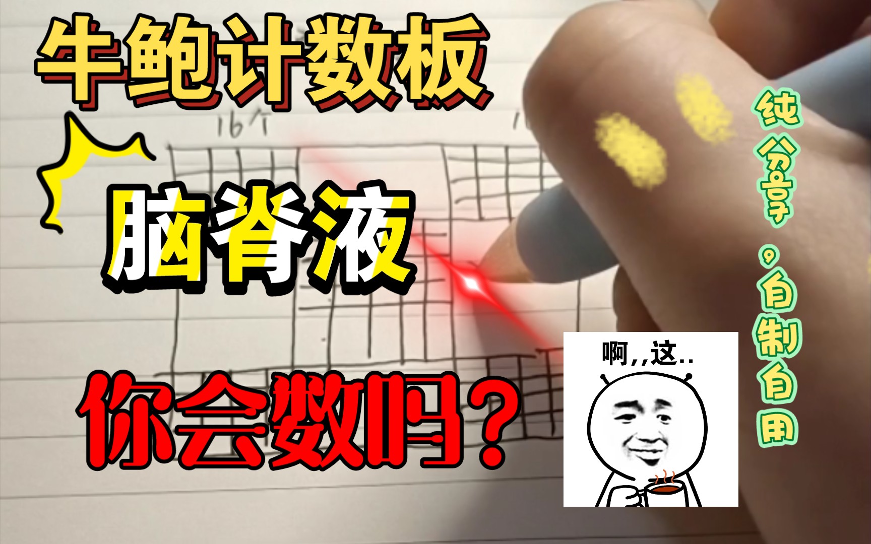 【检验必看系列——牛鲍计数板脑脊液计数】新人学习,学到就是赚到...