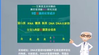 DNA是主要的遗传物质