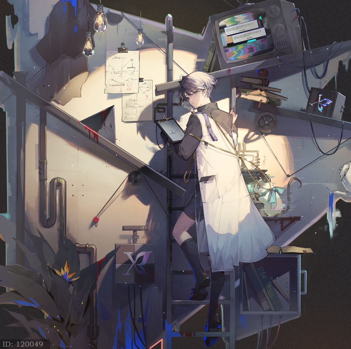 梦孟孟君 