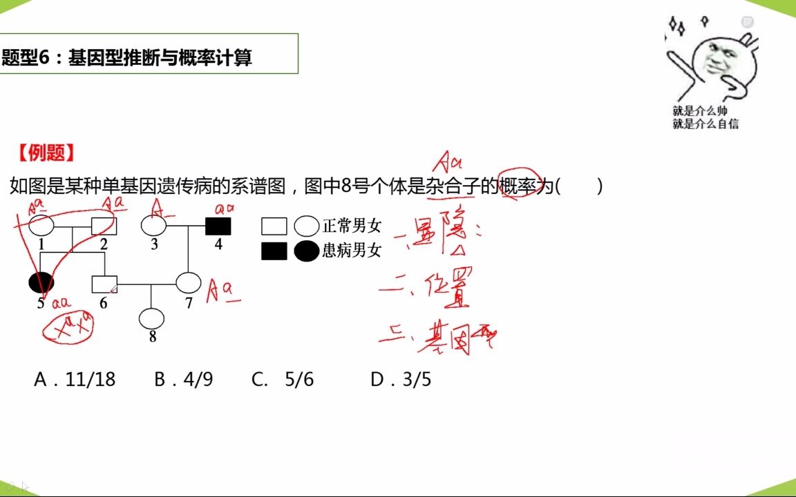 分离定律 基因型推断+概率计算+实验设计