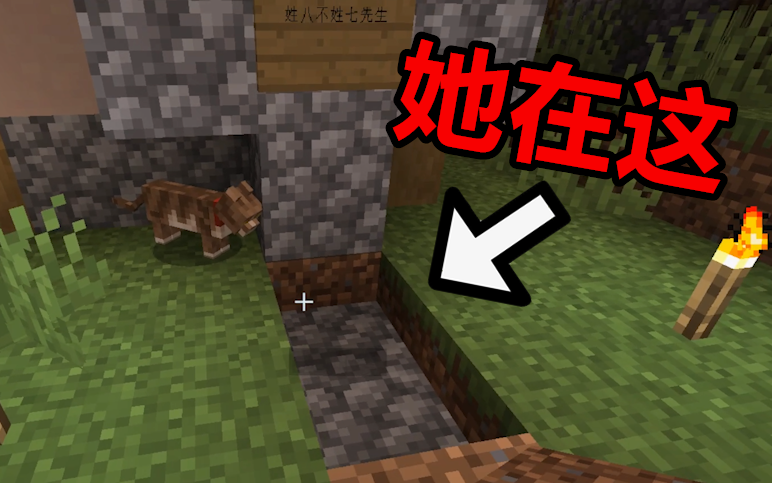 带姐姐第一次玩我的世界,她开心死了!