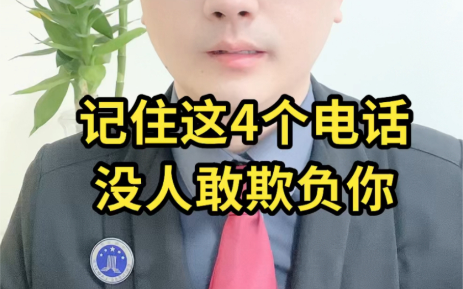 记住这4个电话,没人敢欺负你。#法律咨询#律师普法#深圳律师#免费...