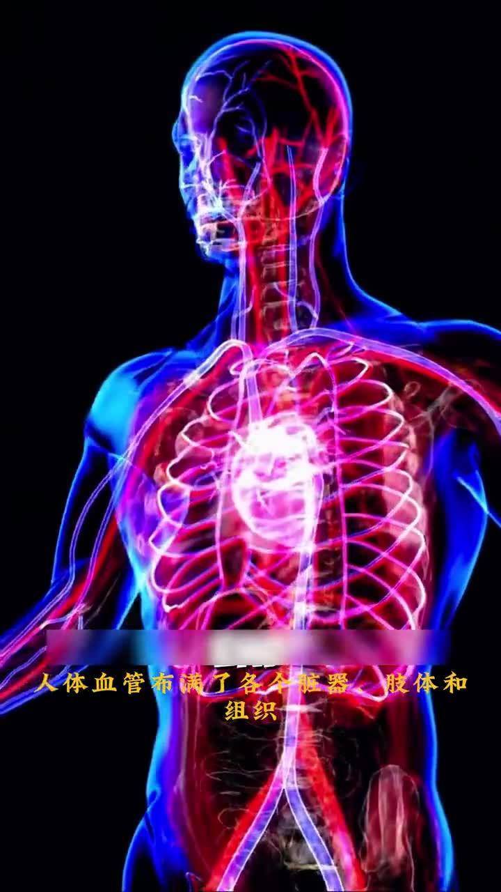 人体血管总长度是多少?#知识科普