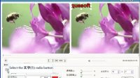 确然3gp(mp4)格式转换器水印功能视频教程